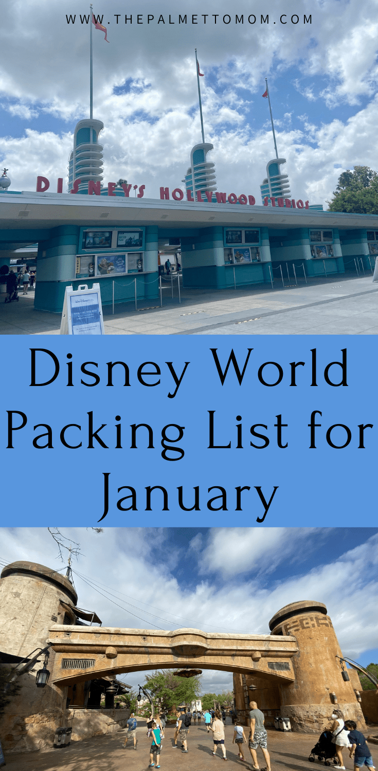 Packing for Disney World in January - The Palmetto Mom