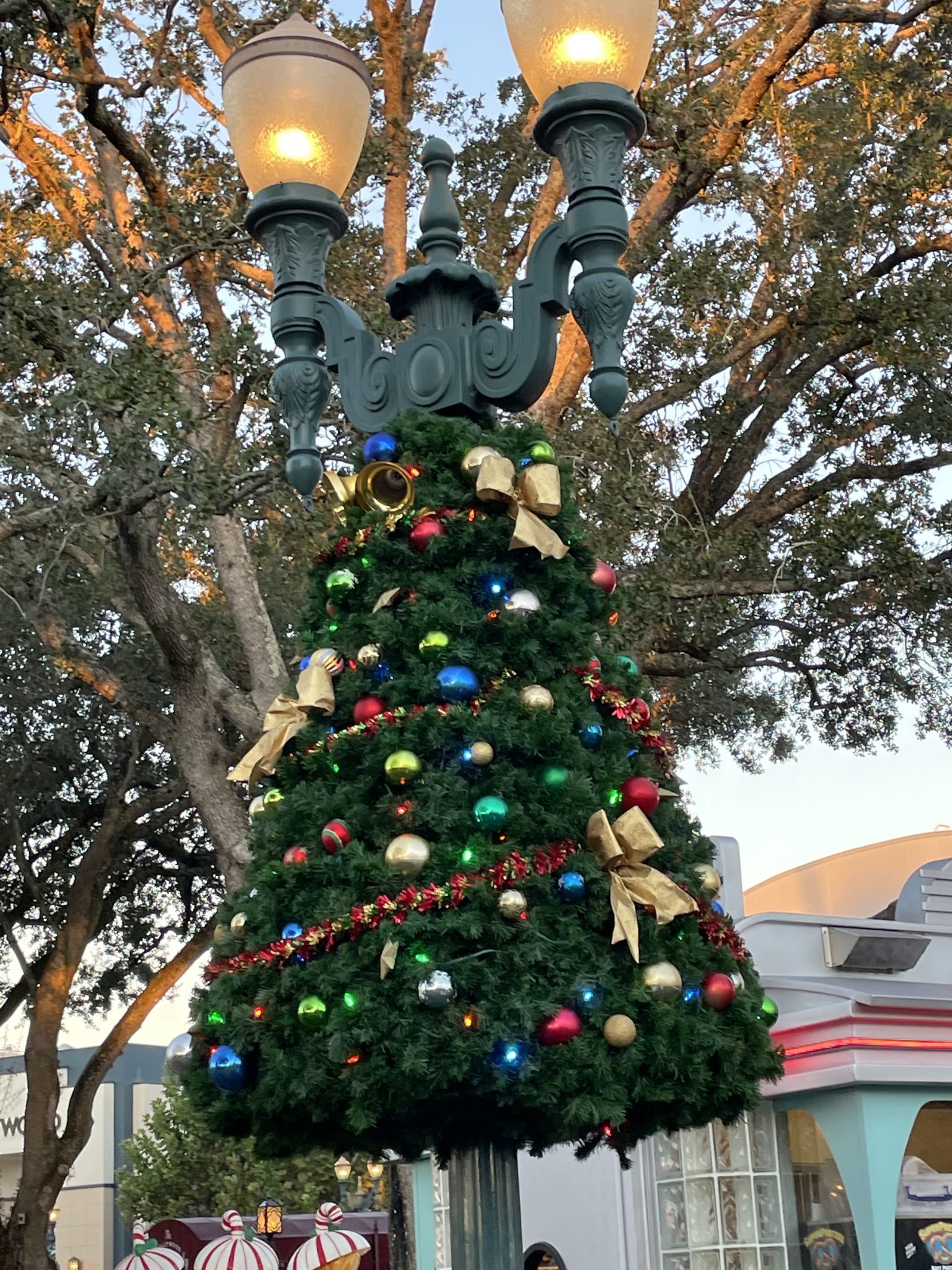 What to Wear to Disney World in December - The Palmetto Mom