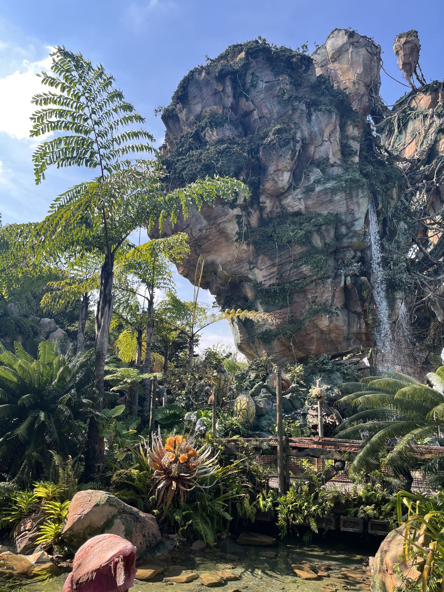 The Best Live Shows at Walt Disney World - The Palmetto Mom