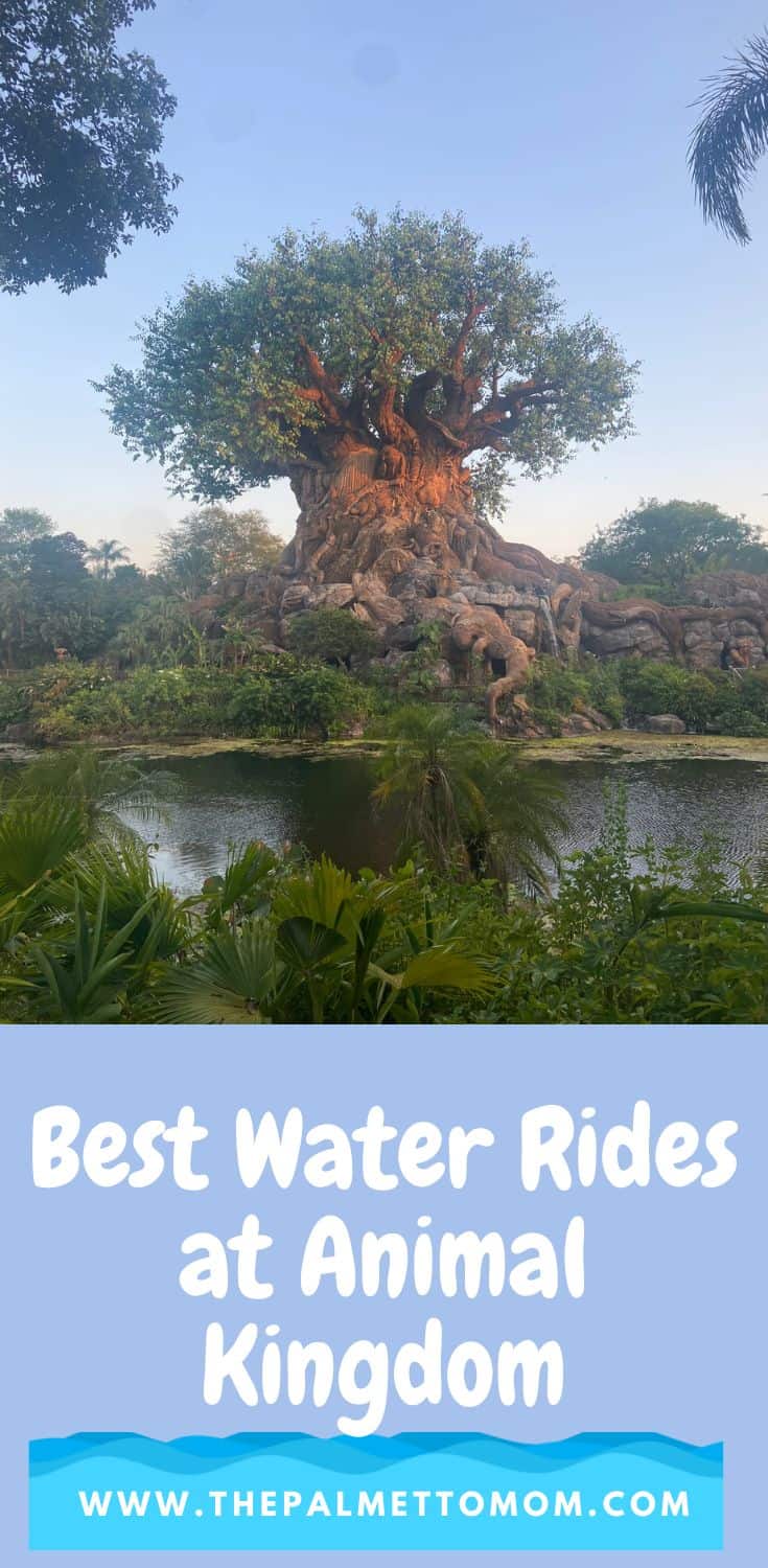 Water Rides at Animal Kingdom - The Palmetto Mom