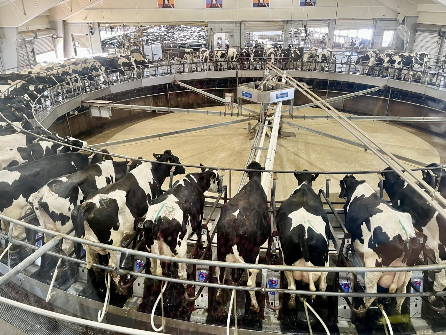 Fun Visiting Fair Oaks Farm Adventure for the Family, Indiana - The ...
