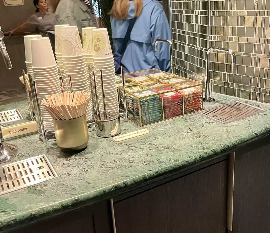 Full Guide to the Rainforest Room On a Disney Wish Cruise - The ...