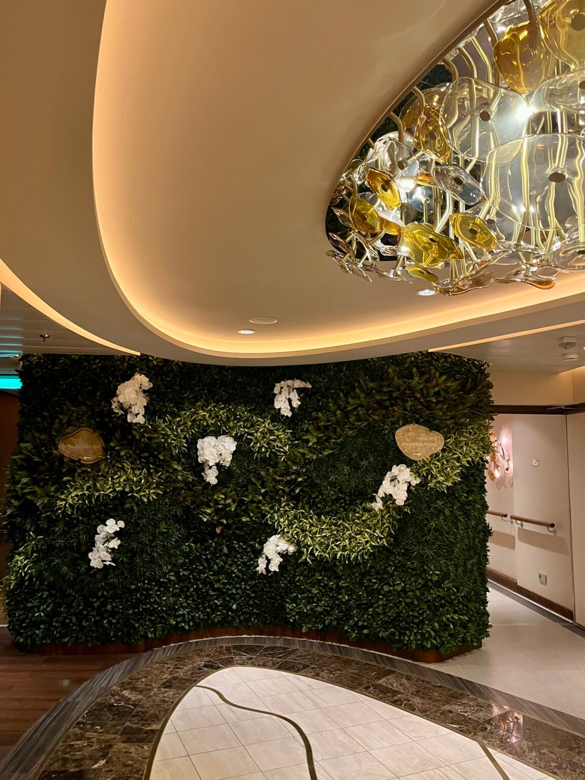 Full Guide to the Rainforest Room On a Disney Wish Cruise - The ...