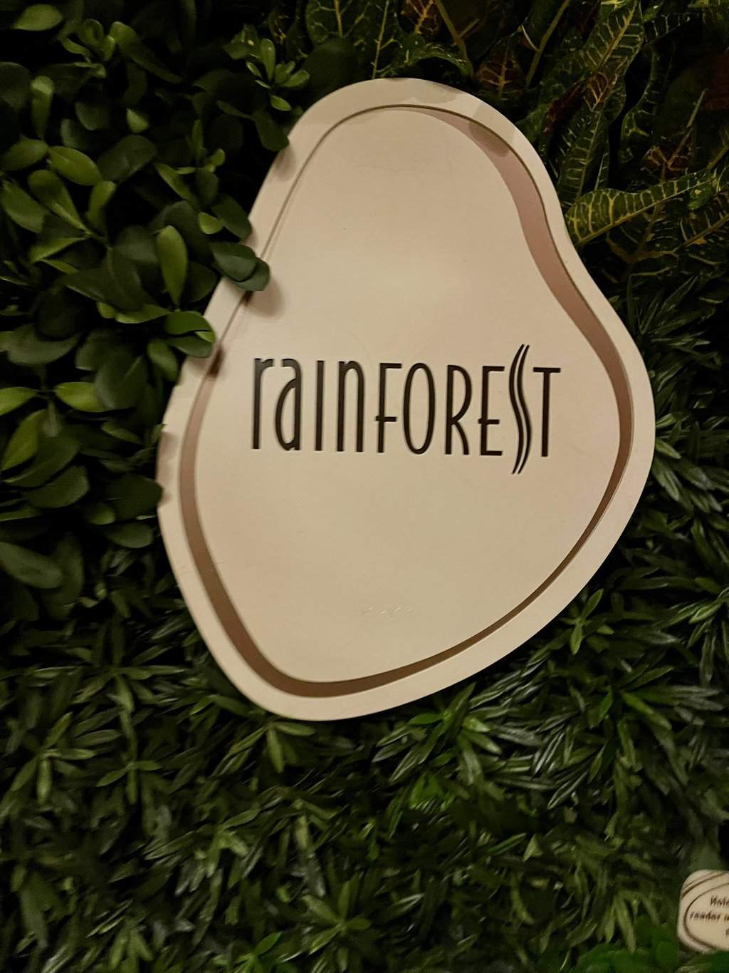 Full Guide to the Rainforest Room On a Disney Wish Cruise - The ...